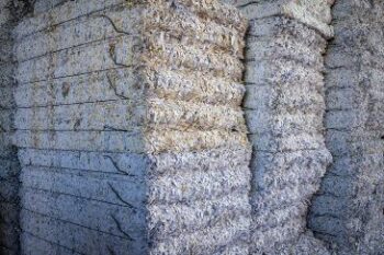 How Does Plant-Based Shredding Work? | Pacific Shredding